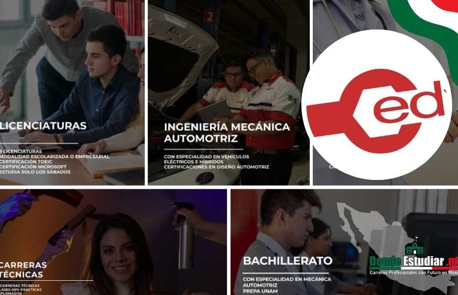 Escuela CEDVA: Carreras, Costos y Oportunidades - Donde estudiar en México
